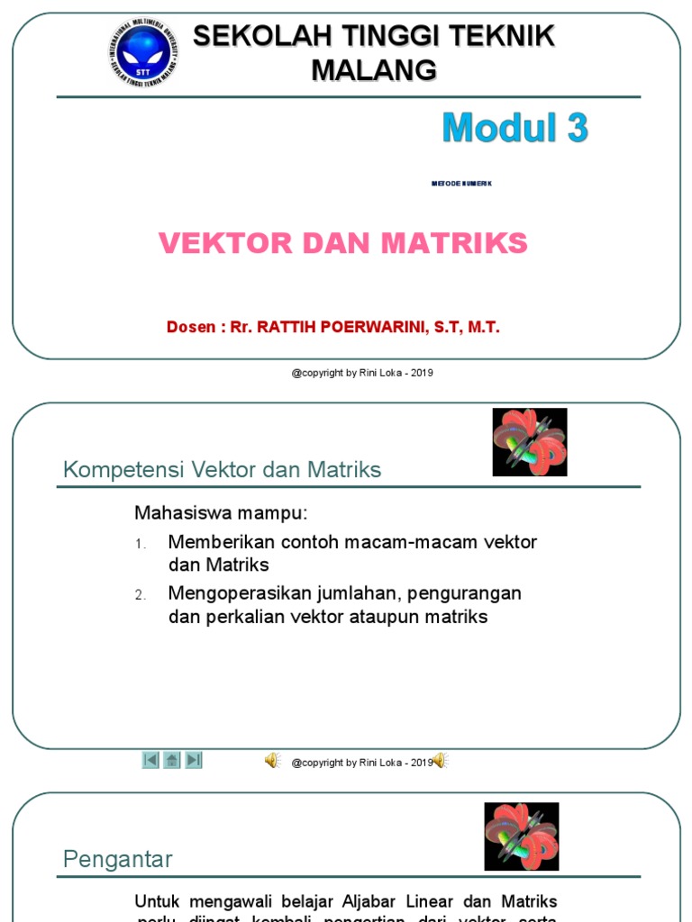 Bab 3 Vektor Dan Matriks | PDF