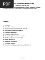 Noções de Tubulação Industrial | PDF | Pressão | Desenho