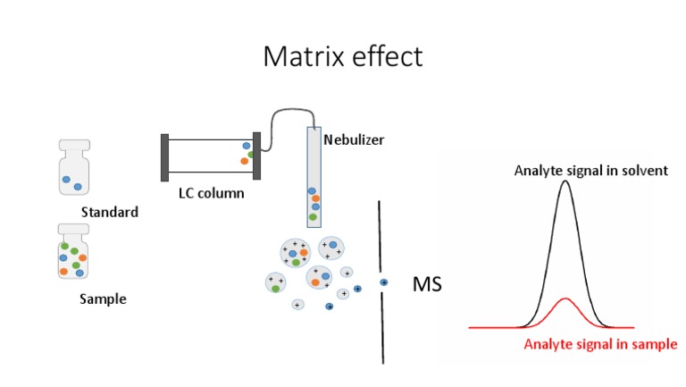 Matrix Effect: Analyte Signal in Solvent Nebulizer | PDF