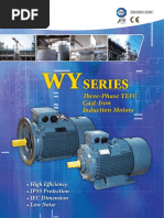 EMRAX 208 Datasheet A00 | PDF | Electric Motor | Power (Physics)