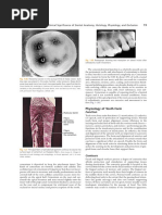 Cementoenamel Junction An Insight | PDF | Human Tooth | Tooth Enamel