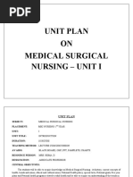 UNIT PLAN PIPRAMS 4th Year Bsc. Nursing | PDF | Statistics | Pelvis