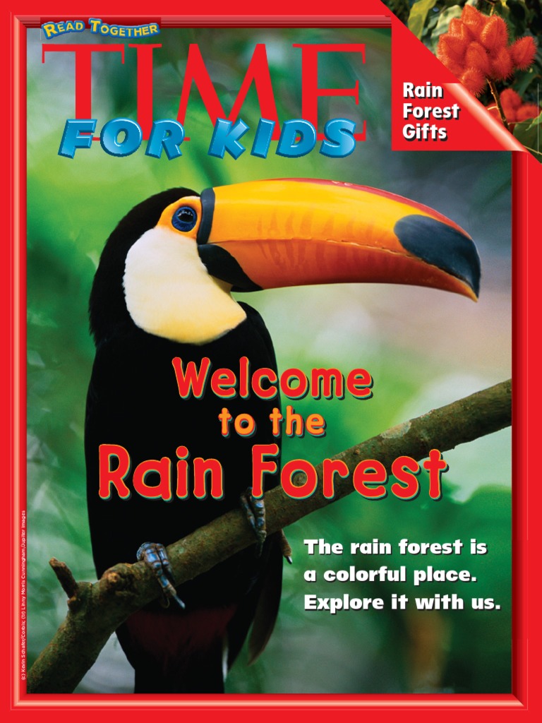 Kids' Guide to Rain Forest Wonders | PDF | Rainforest | Forests