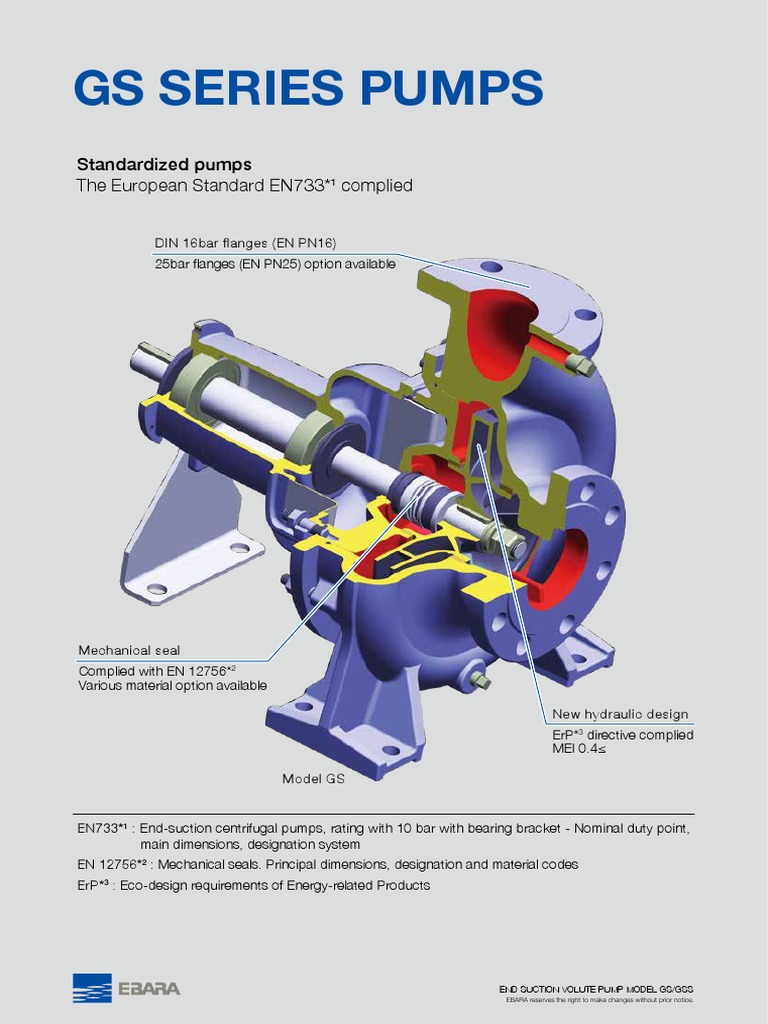 Gs Series Pumps: Standardized Pumps The European Standard EN733 ...