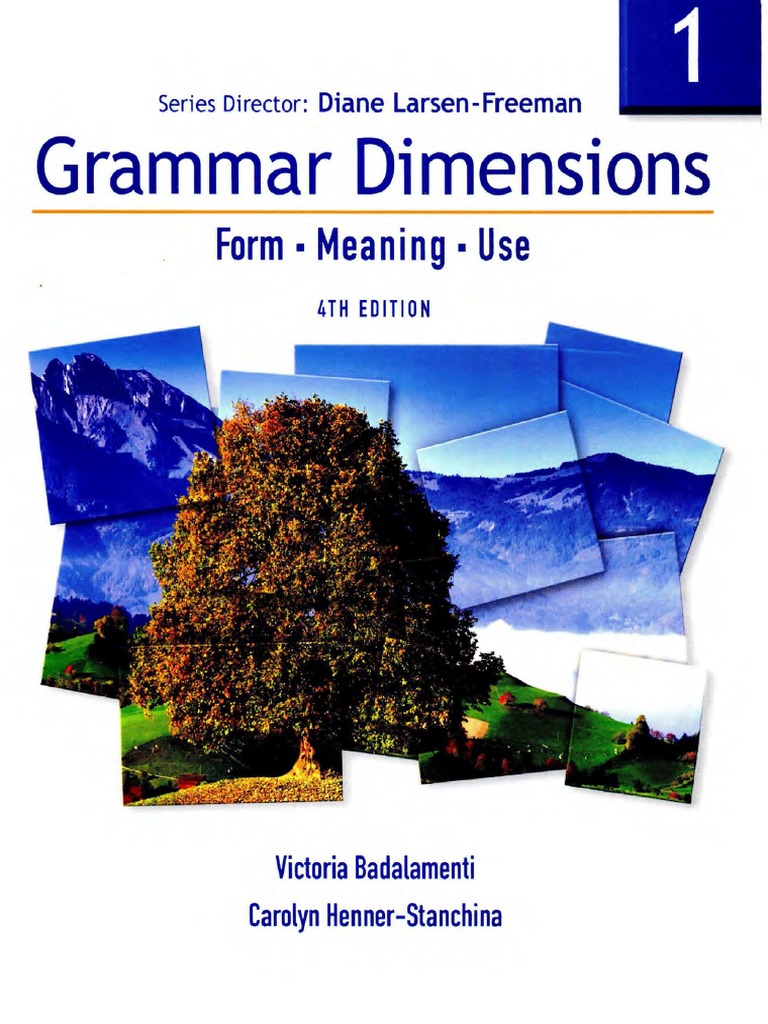 Form Meaning Use: Grammar Dimensions | PDF | English Language | Noun
