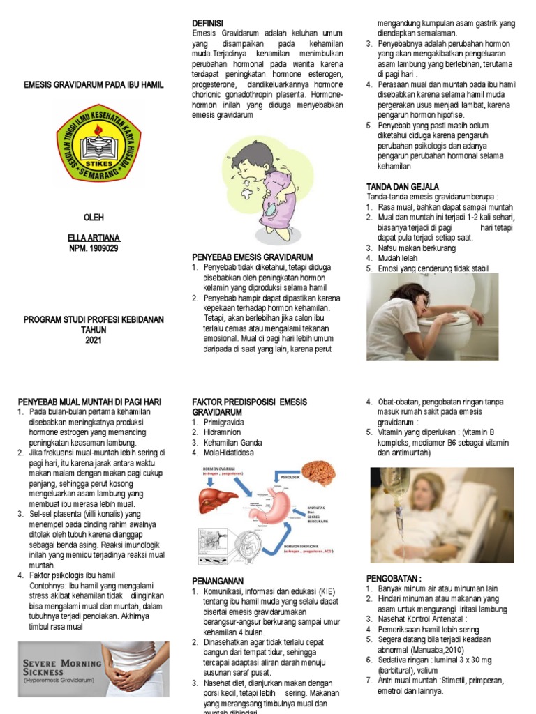 Leaflet Emesis Gravidarum | PDF