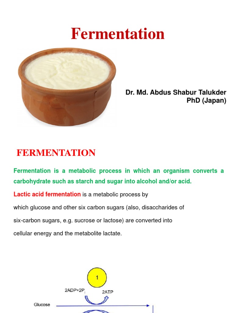 Chapter 2 FERMENTATION | PDF | Yogurt | Buttermilk