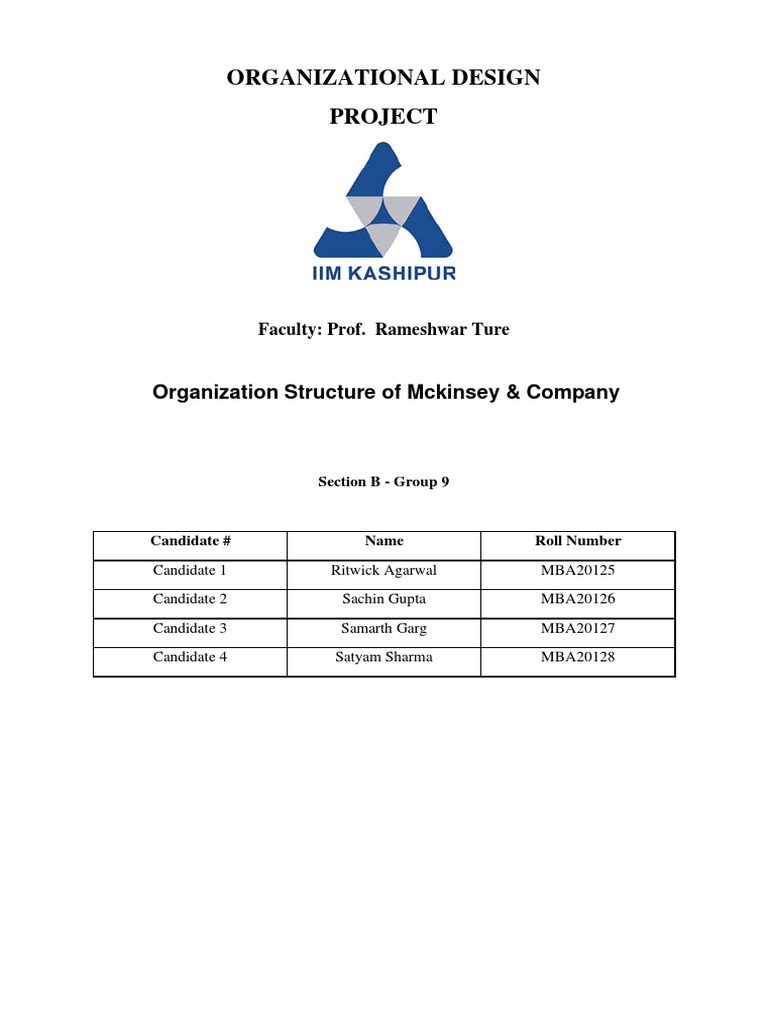 Organizational Design Project: Organization Structure of Mckinsey ...