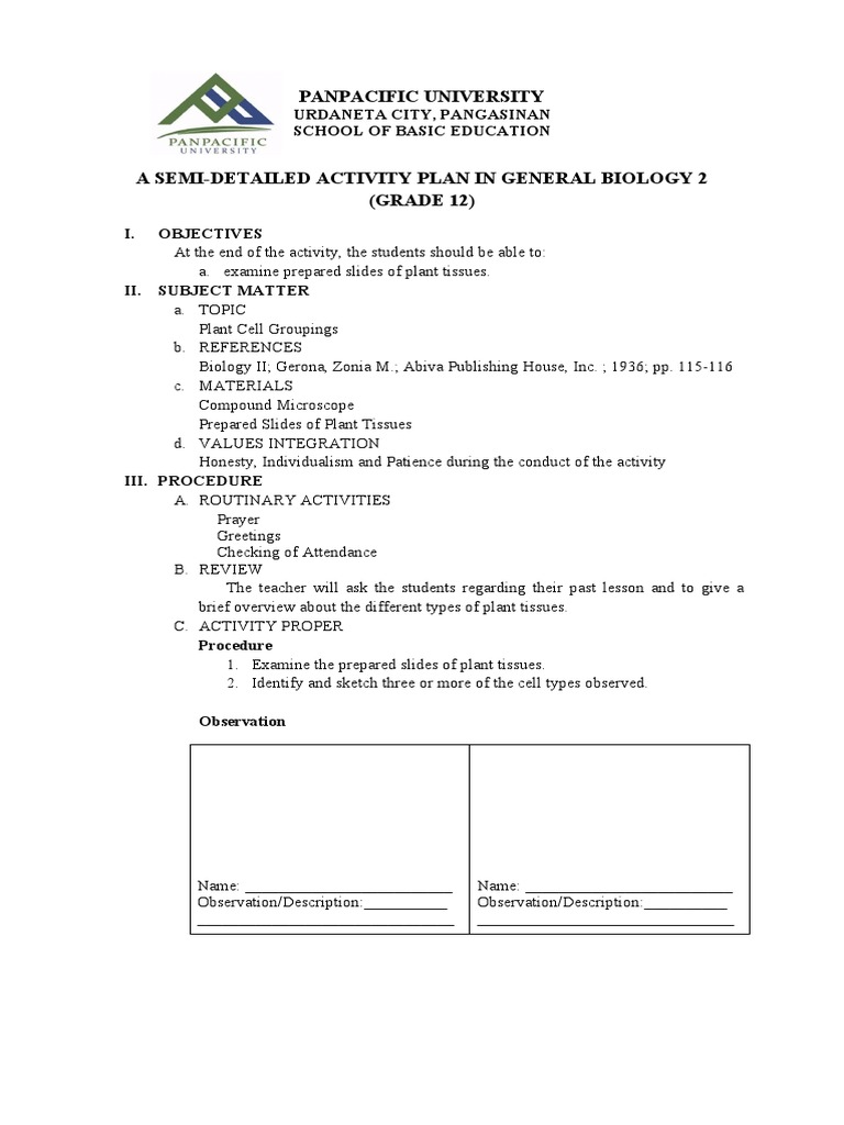 Activity Plan (Plant Tissues) | PDF | Tissue (Biology) | Plant Stem
