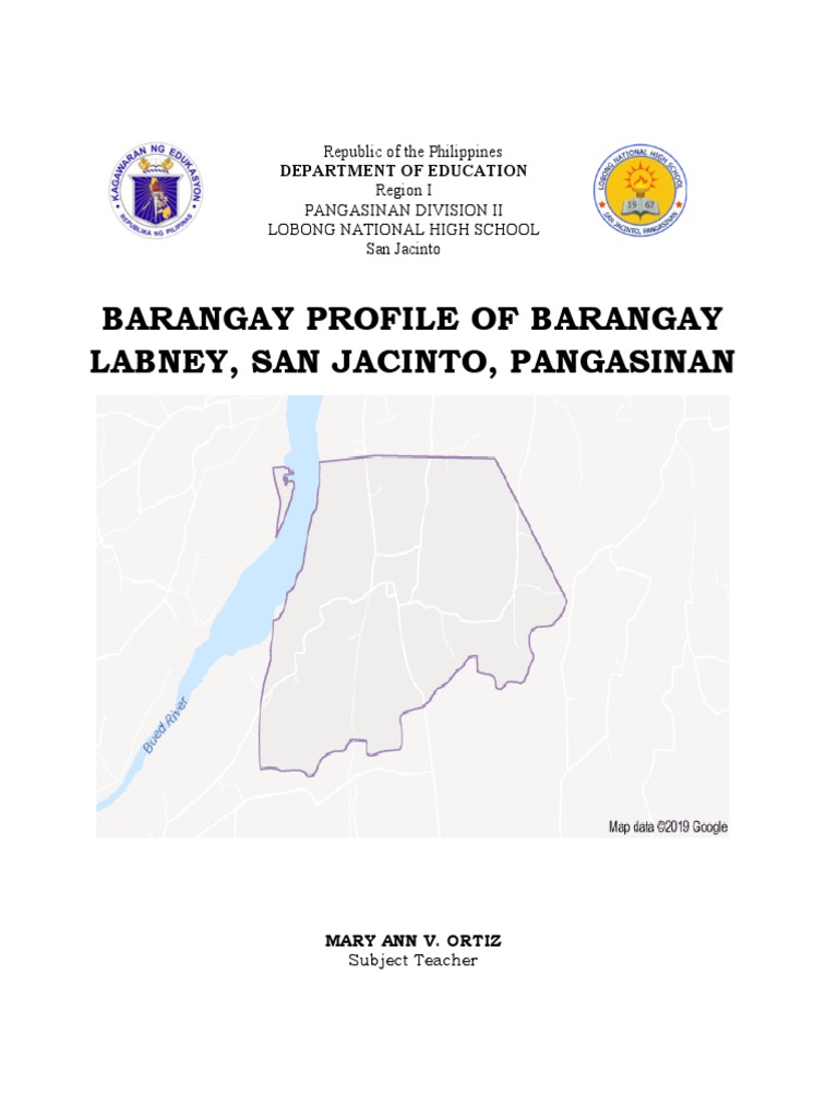Barangay Labney Profile and Insights | PDF | Travel | Wellness