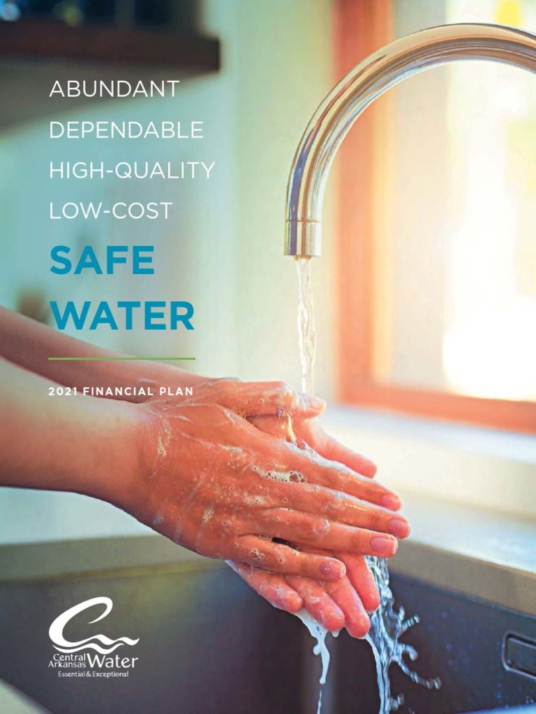 2021 Caw Financial Plan Final For Web Compressed | PDF | Infrastructure ...