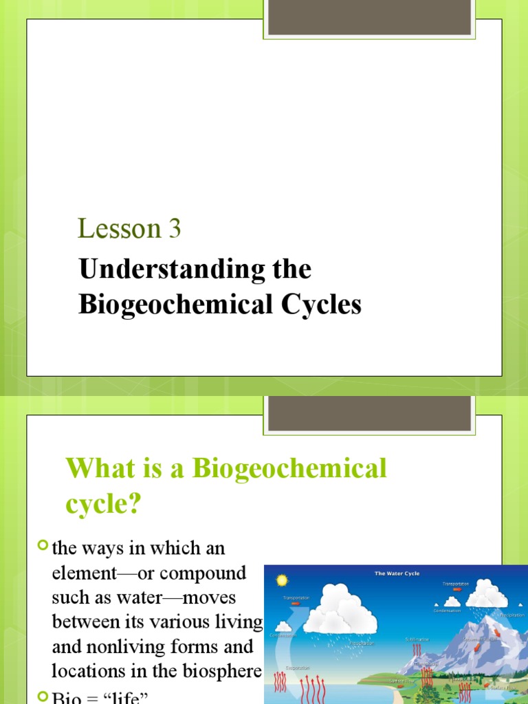 Lesson 3 Understanding The Biogeochemical Cycles | PDF | Nitrogen | Oxygen