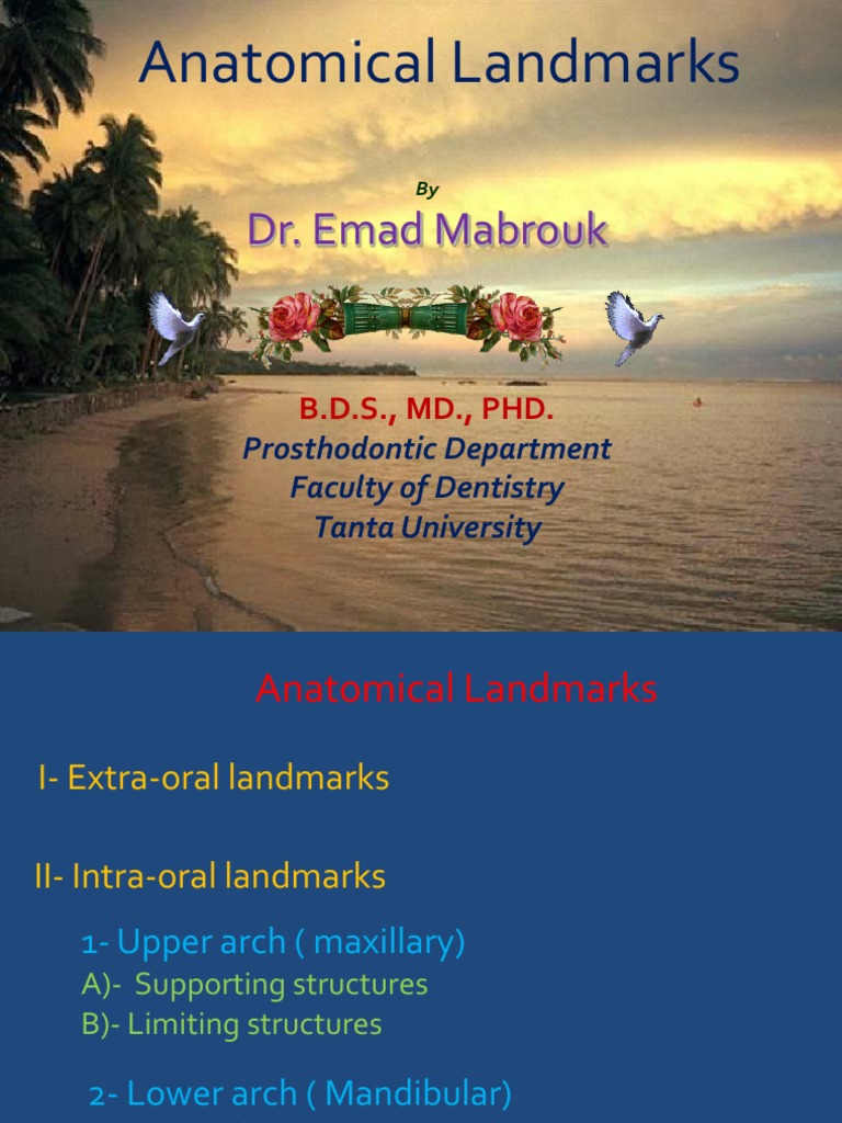 Anatomical Landmarks | PDF | Lip | Dentures
