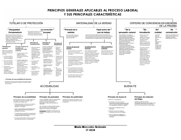 Mapa Conceptual Principios Del Derecho Procesal Laboral | PDF | Evidencia (ley) | Ley Pública