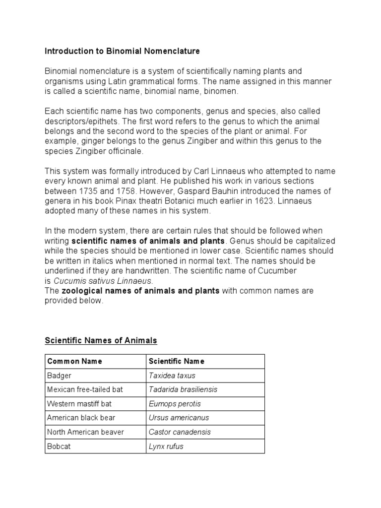 Binomial Nomenclature Examples Of Animals