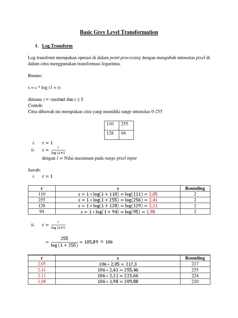 Tutorial - Basic Grey Level Transformations | PDF
