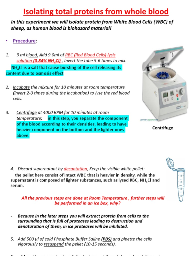 Protein Isolation from Whole Blood | PDF | Biomolecular Structure ...