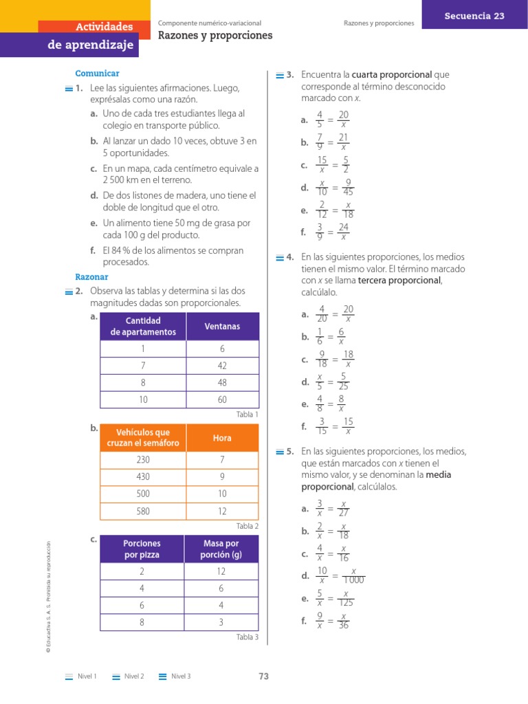 Razones y Proporciones | PDF | Enseñanza de matemática | Science