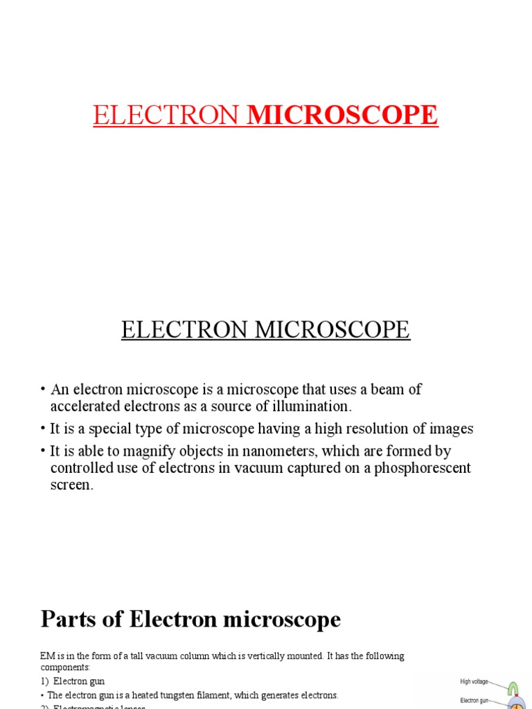 Electron Microscope | PDF | Electron Microscope | Microscope