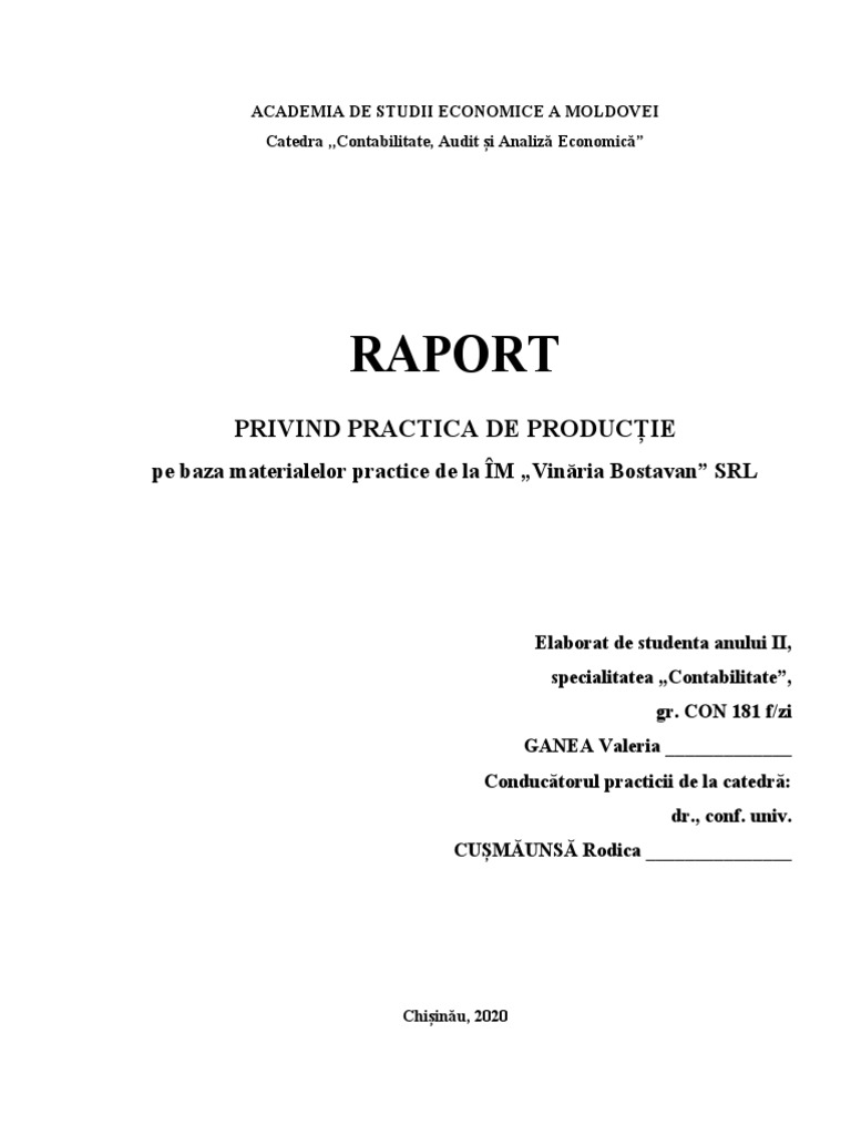Raport de Practica | PDF