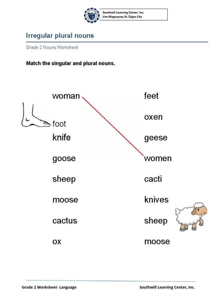 Grade 2 Irregular Plural Nouns Worksheet | PDF