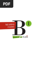 PLIDA B1 - Prova Esempio - Scrivere | PDF