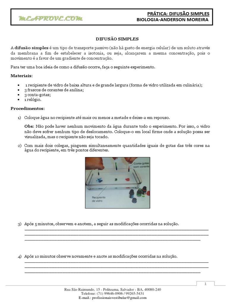 Prática de Difusão Simples em Biologia | PDF | Difusão | Solução