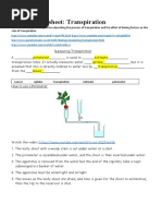 Magnification Worksheet | PDF | Units Of Measurement | Teaching Mathematics