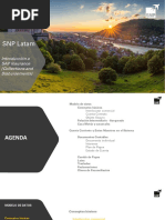 Funciones de Interlocutores Comerciales en SAP | PDF