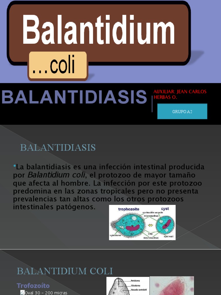 BALANTIDIASIS | PDF | Epidemiología | Enfermedades y trastornos