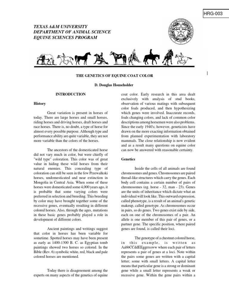 The Genetics of Equine Coat Color: An Overview of the Role of Genes in ...