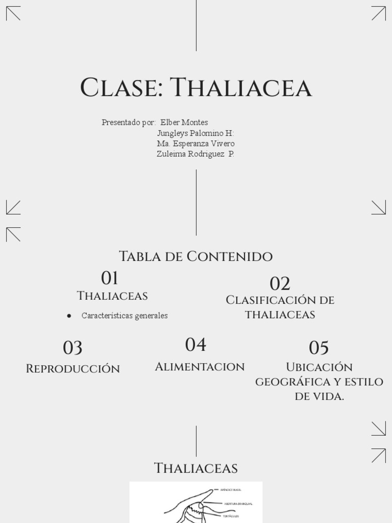 Thaliacea | PDF | Estudios de idiomas extranjeros | Hogar, jardinería y ...