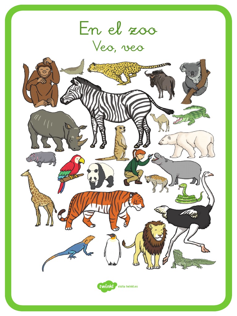 Veo Veo Del Zoo | PDF