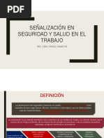 Norma de Senalizacion Uso de Los EPPs Personal y Colectiva | PDF ...