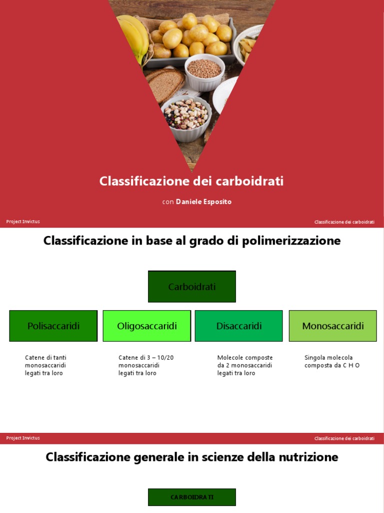 Classificazione Dei Glucidi | PDF