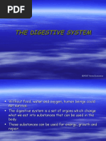 Digestive System Flow Chart | PDF | Digestion | Human Digestive System