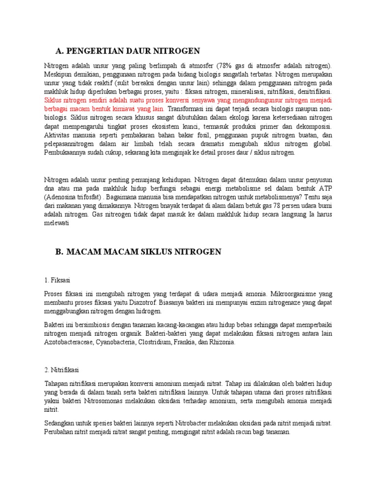 Pengertian Daur Nitrogen | PDF
