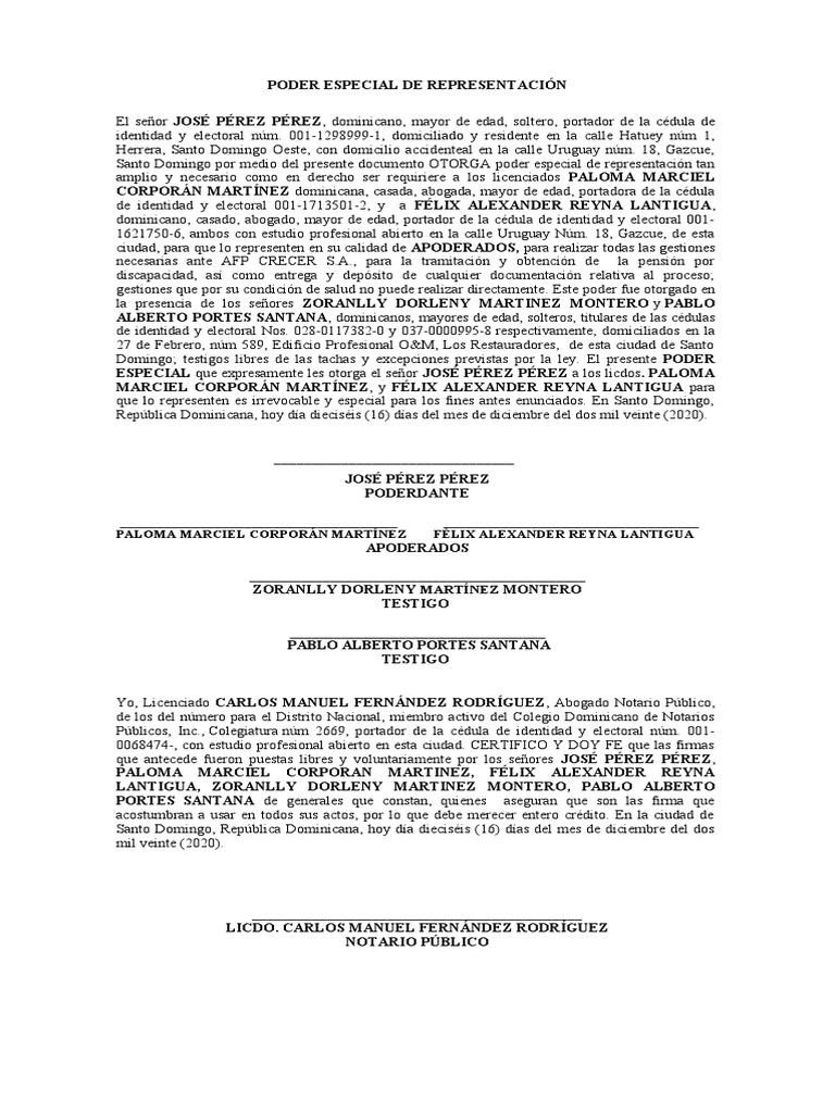 Poder Especial de Representación | PDF | República Dominicana | Gobierno