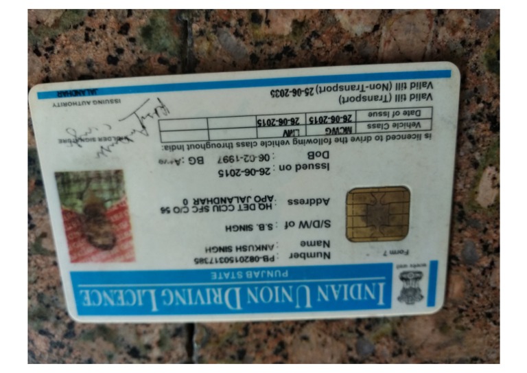 Driving License | PDF