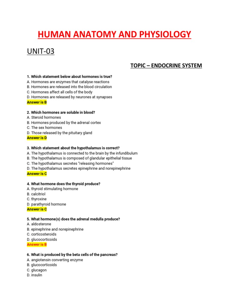 Human Anatomy and Physiology Unit 3 Complete | PDF | Endocrine System ...