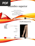 Región Axilar Resumen Prrre | PDF | Tórax | Anatomía humana