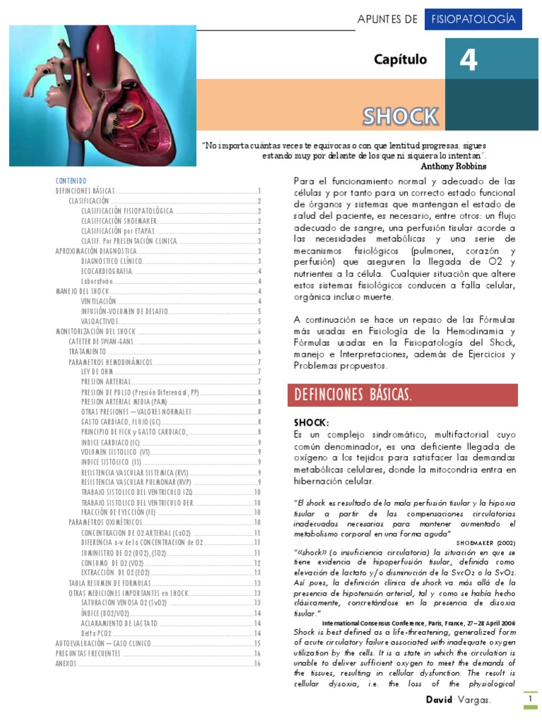 SHOCK Formulas | PDF | Presión sanguínea | Septicemia