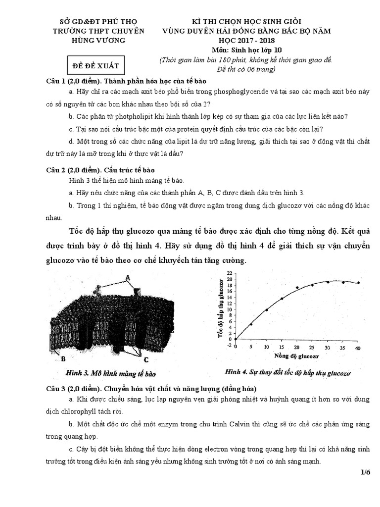 (Lib24.vn) De-Thi-Chon-Hsg-Sinh-Hoc-Duyen-Hai-Dong-Bang-Bac-Bo-Sinh-10-Nam-Hoc-2017-2018-Chuyen ...