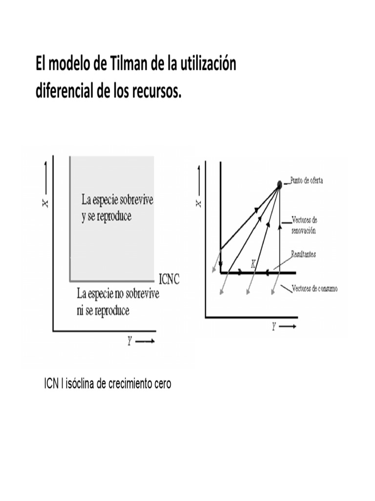 Modelo de Tilman y Biodivresidad | PDF