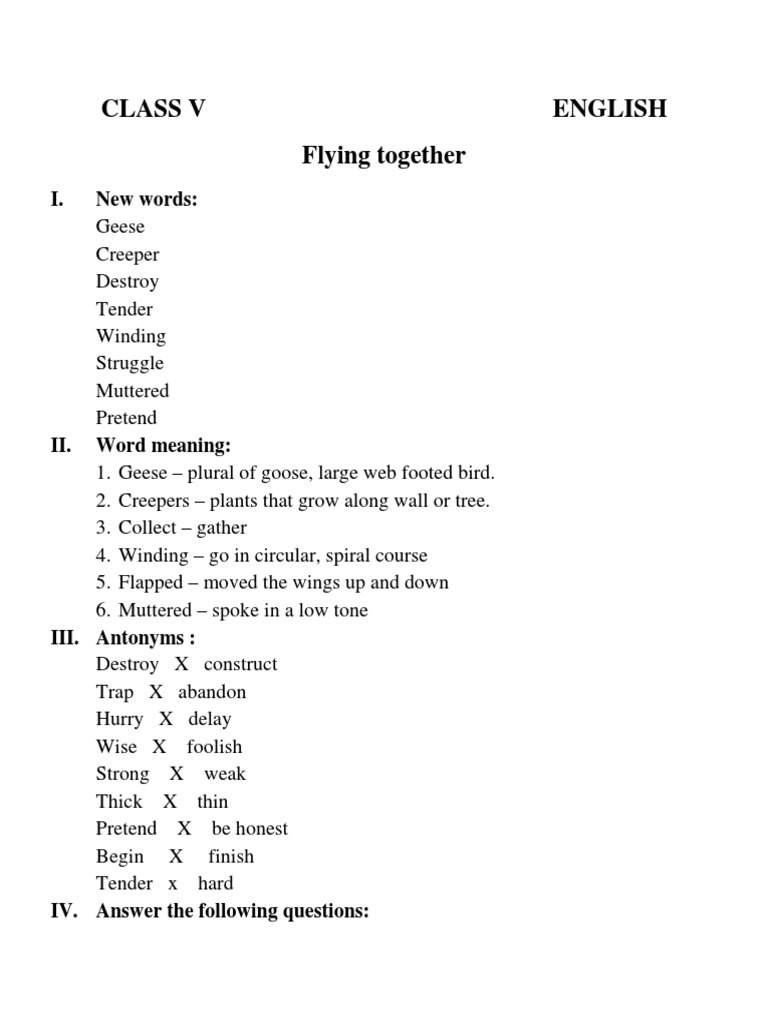 Class 5 English: Flying Together Guide | PDF | Linguistic Typology ...