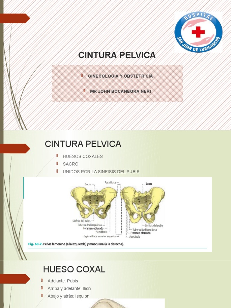 PELVIMETRIA | PDF | Pelvis | Anatomía