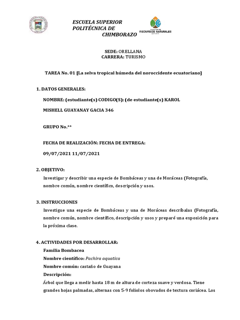 Guayanay Karol Selva Tropical | PDF | Botánica | Plantas