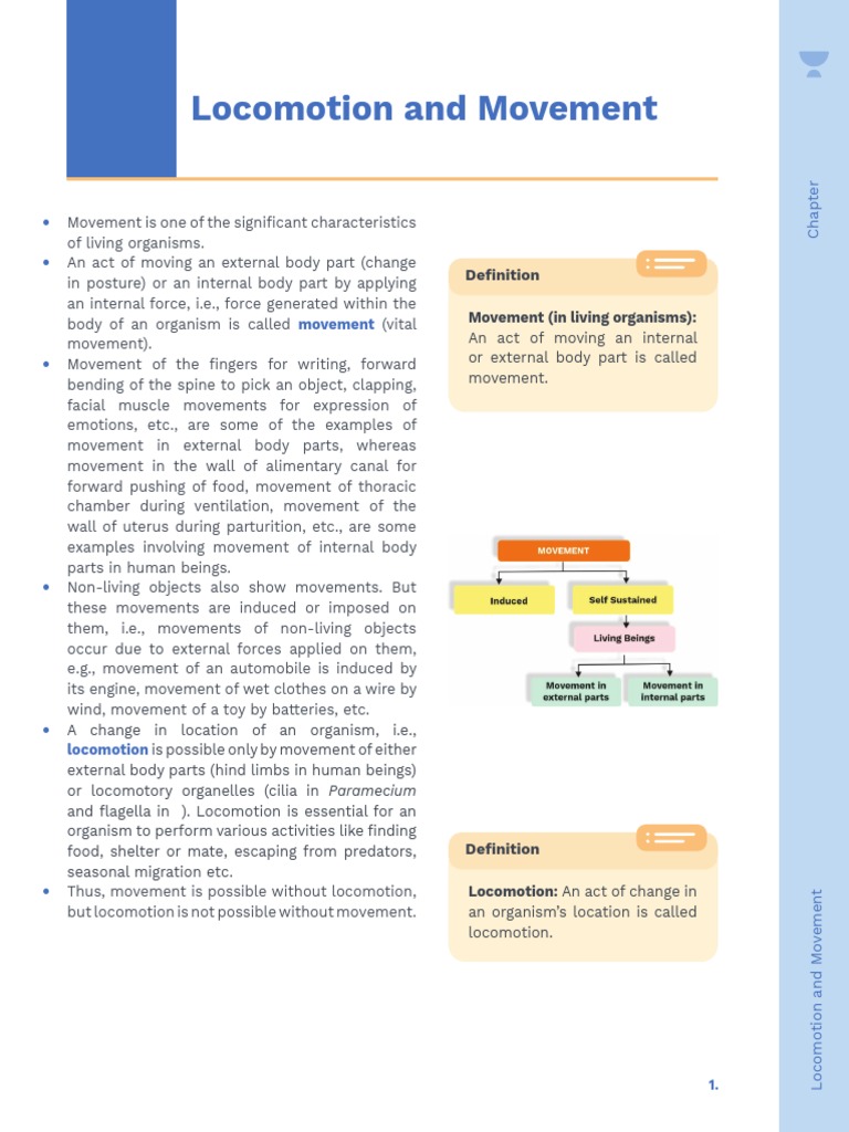 Locomotion and Movements | PDF | Muscle Contraction | Skeletal Muscle