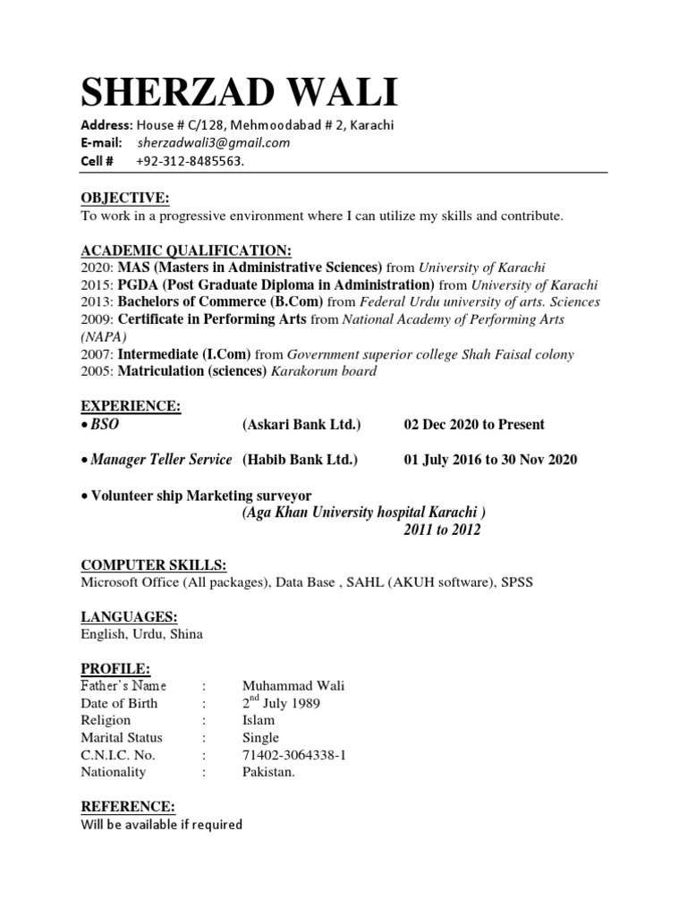 Sherzad Wali Resume | PDF