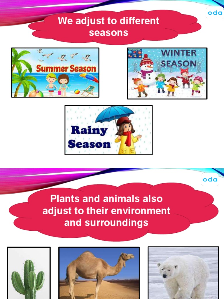 Animal Adaptations for Survival | PDF